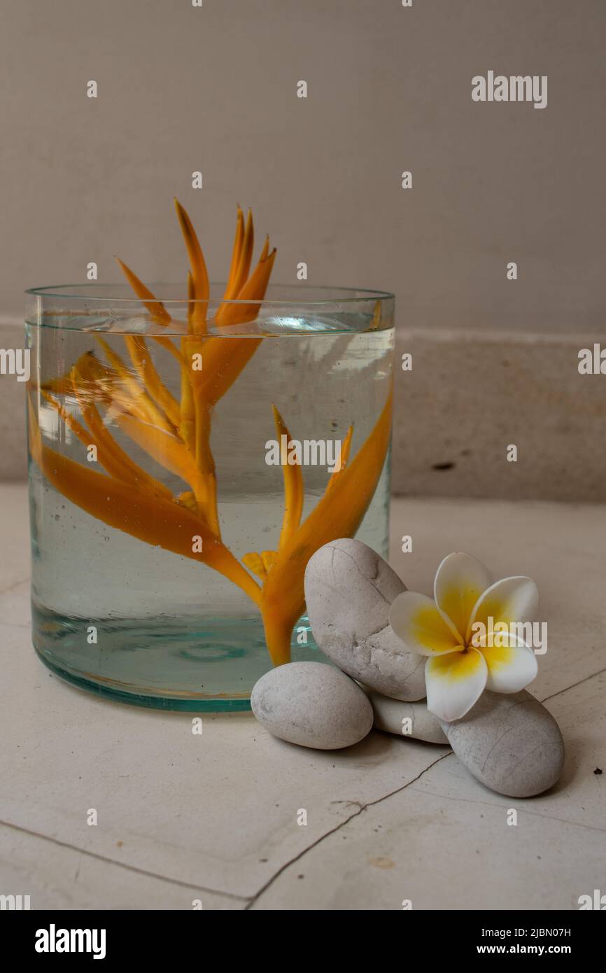 Bali flowers in the glass vase Stock Photo - Alamy