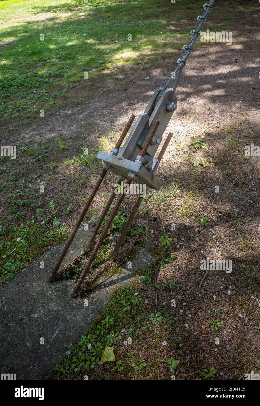 Wire tree support anchored into the ground with concrete and four bolts ...