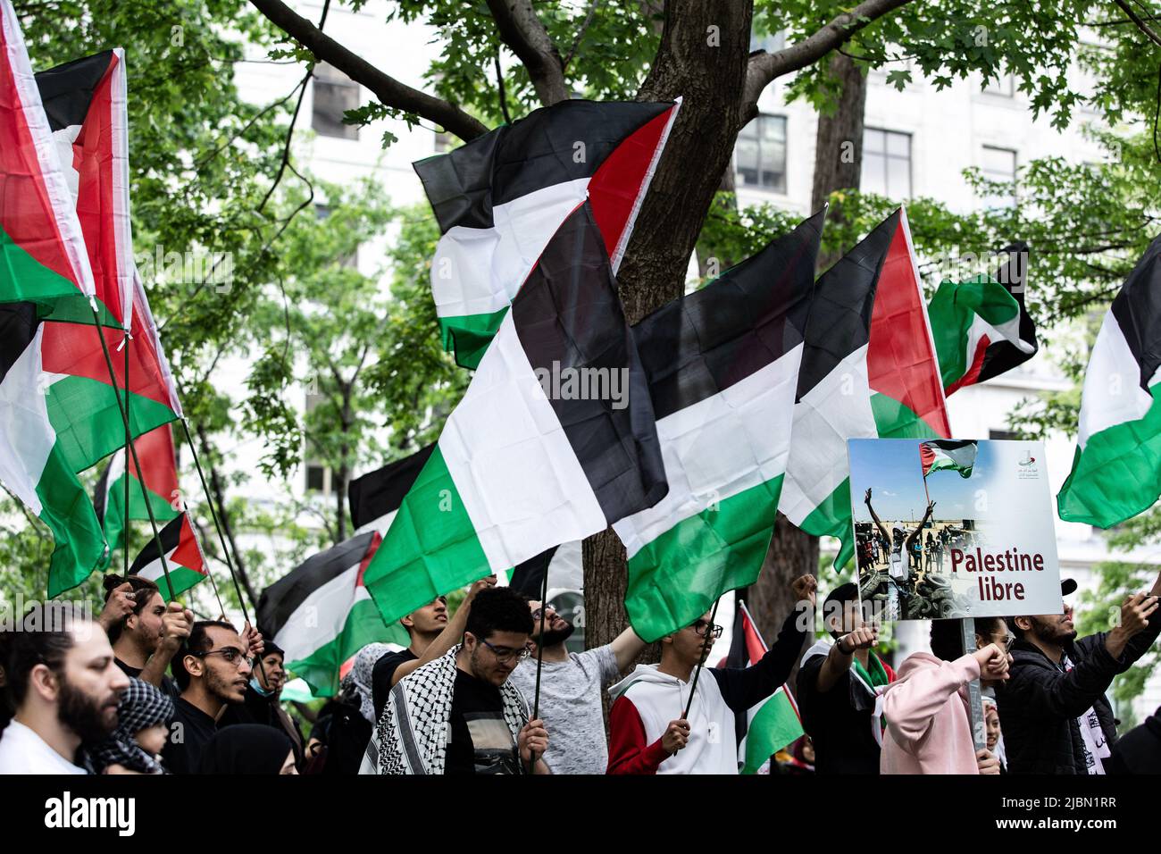 Protesters holding the Palestinian flag Stock Photo - Alamy