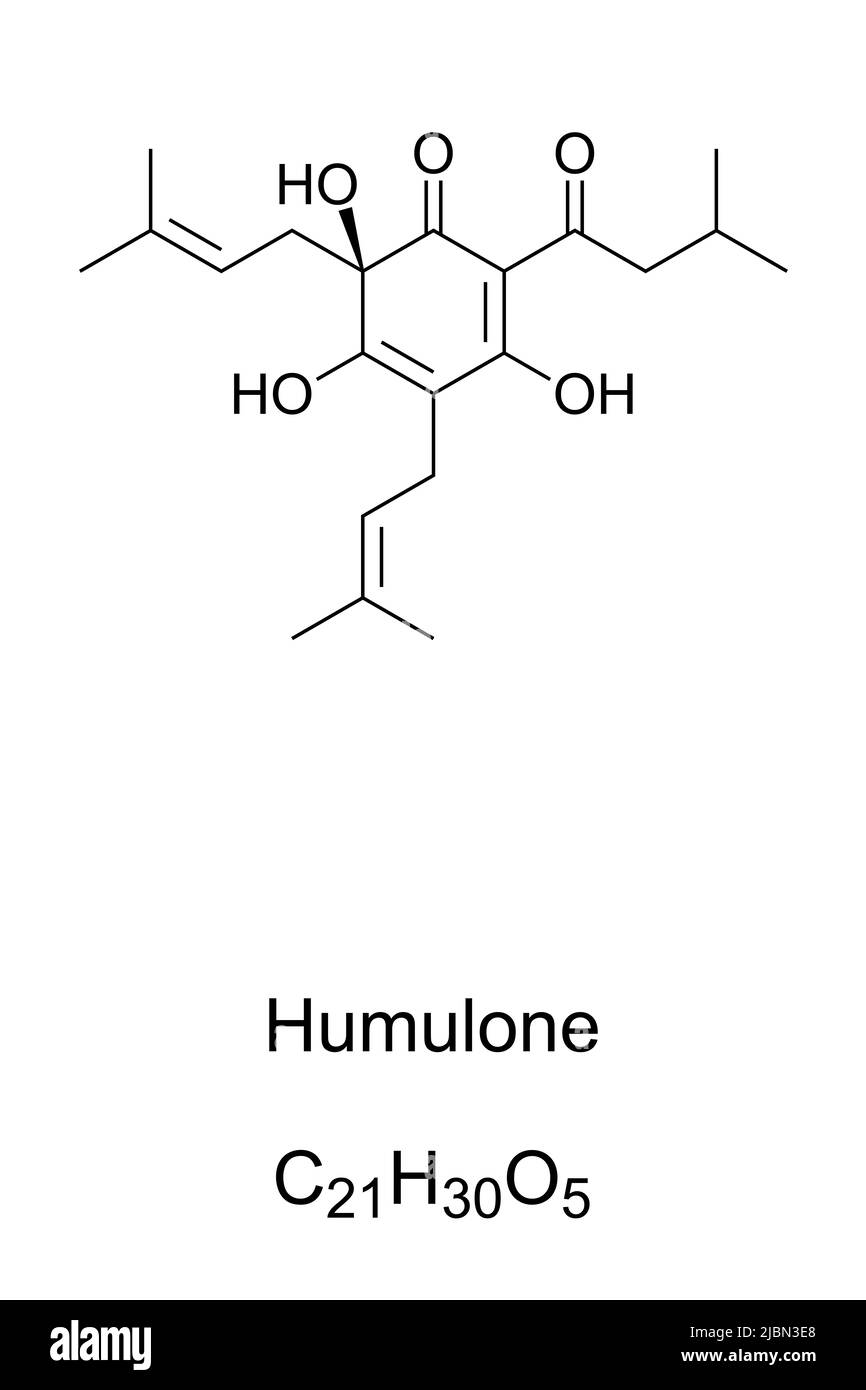 Hops Black and White Stock Photos & Images - Alamy