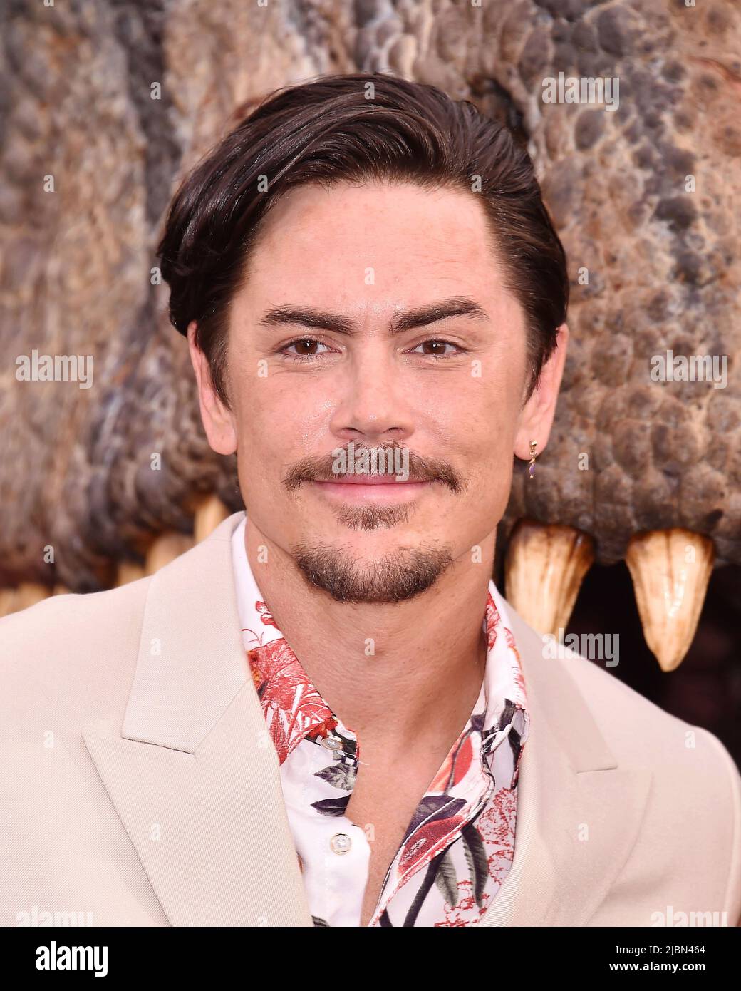 HOLLYWOOD, CA - JUNE 06: Tom Sandoval attends the Los Angeles premiere ...