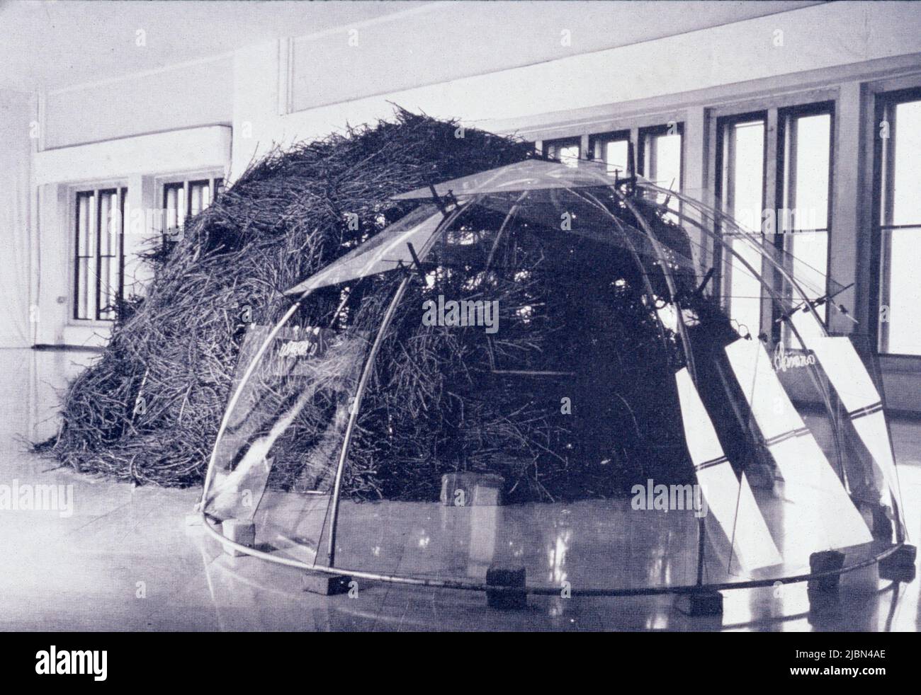 Sans titre, artwork by Italian artist Mario Merz, 1968 Stock Photo - Alamy