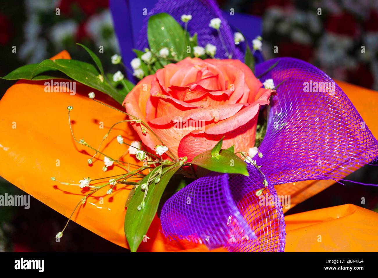 Beautiful rose bouquet Stock Photo - Alamy