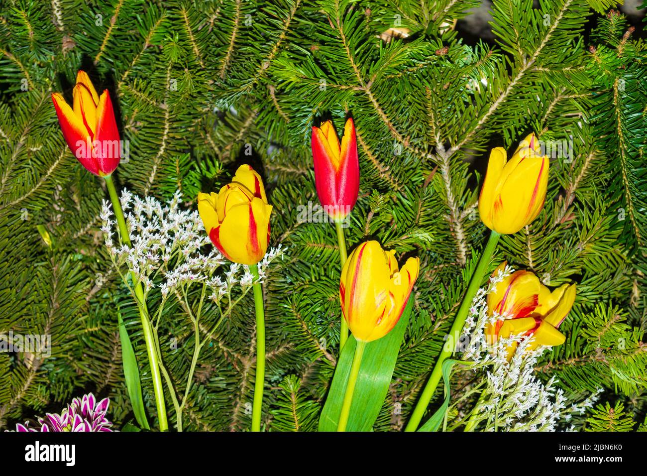 Flower wreath on on the monument to Ukrainian soldiers who died for the ...