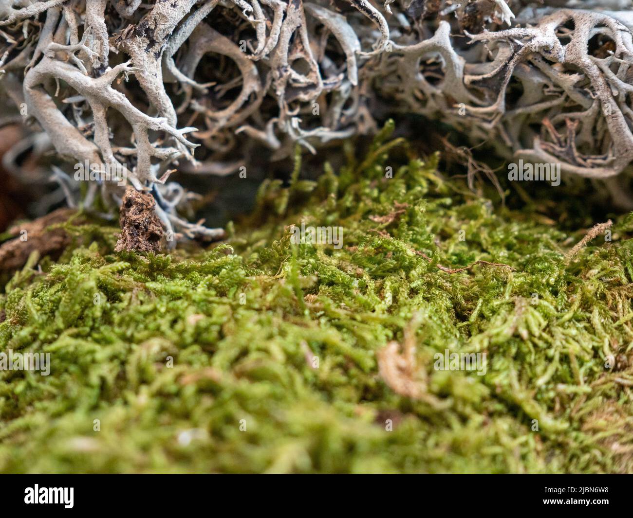 Moisture strip hi-res stock photography and images - Alamy