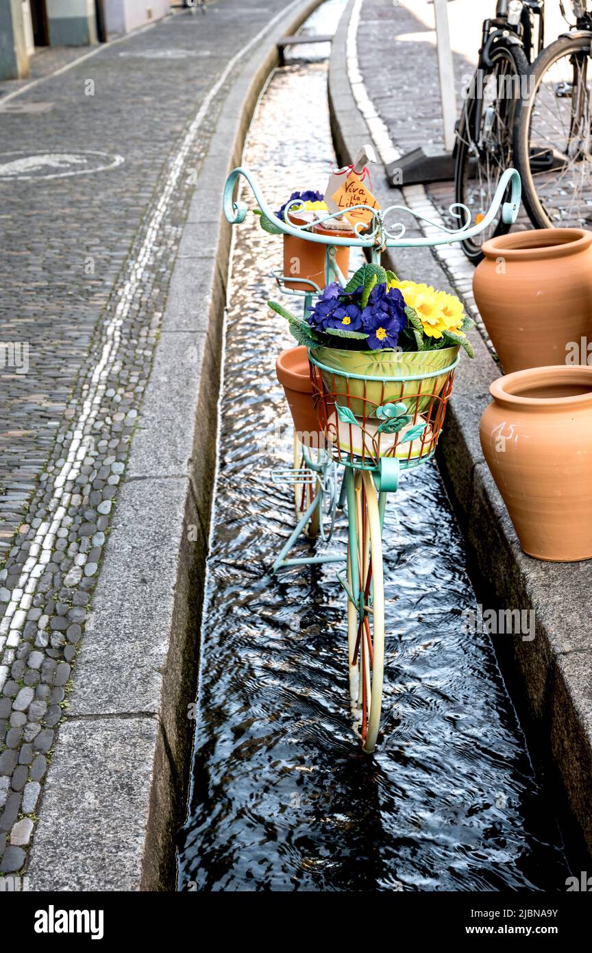 Freiburg im Breisgau (Baden-Württemberg, Germany): „Bächle“ in der ...