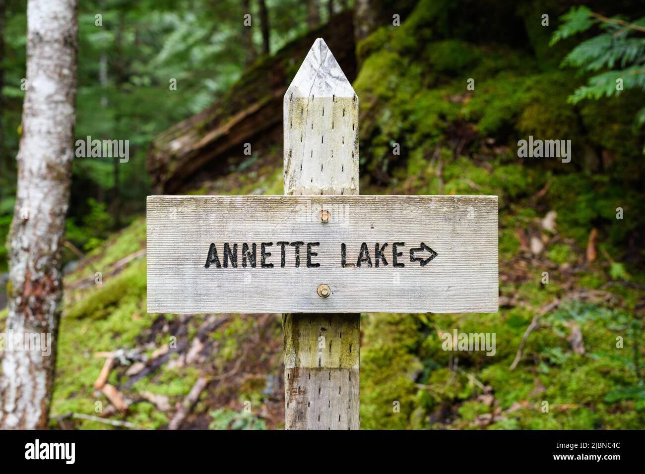 North Bend, WA, USA - June 06, 2022; Wooden trail sign marker to ...