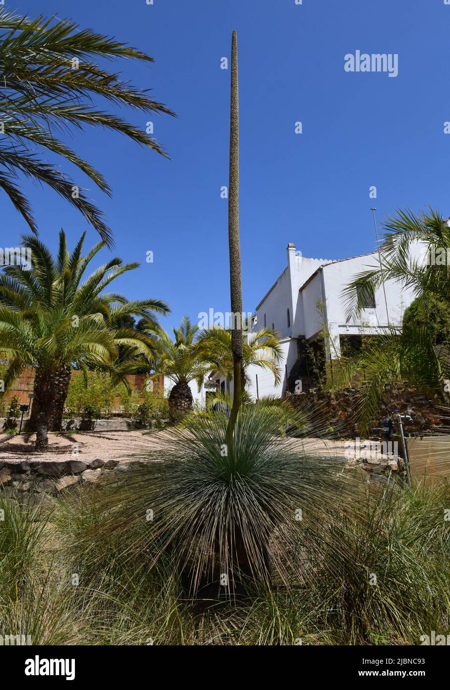 Cap roig botanical gardens hi-res stock photography and images - Alamy