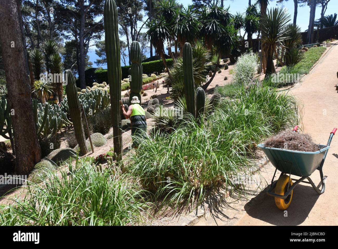 Cap Roig Botanical Gardens. Palafrugell, Spain Stock Photo - Alamy