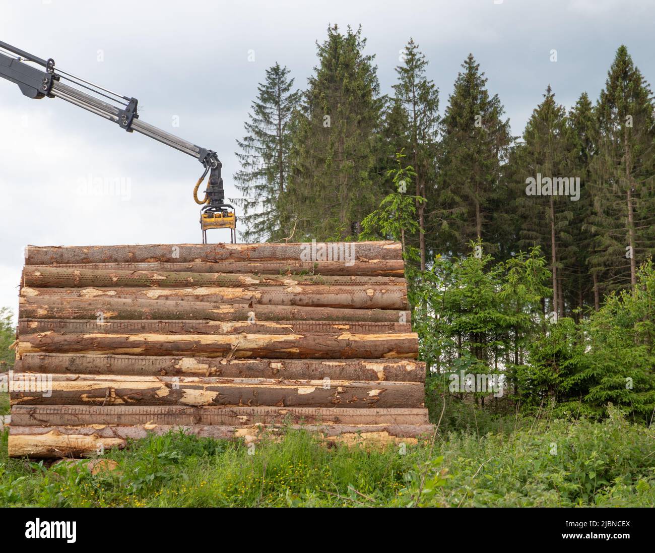 Timber grab excavator hi-res stock photography and images - Alamy