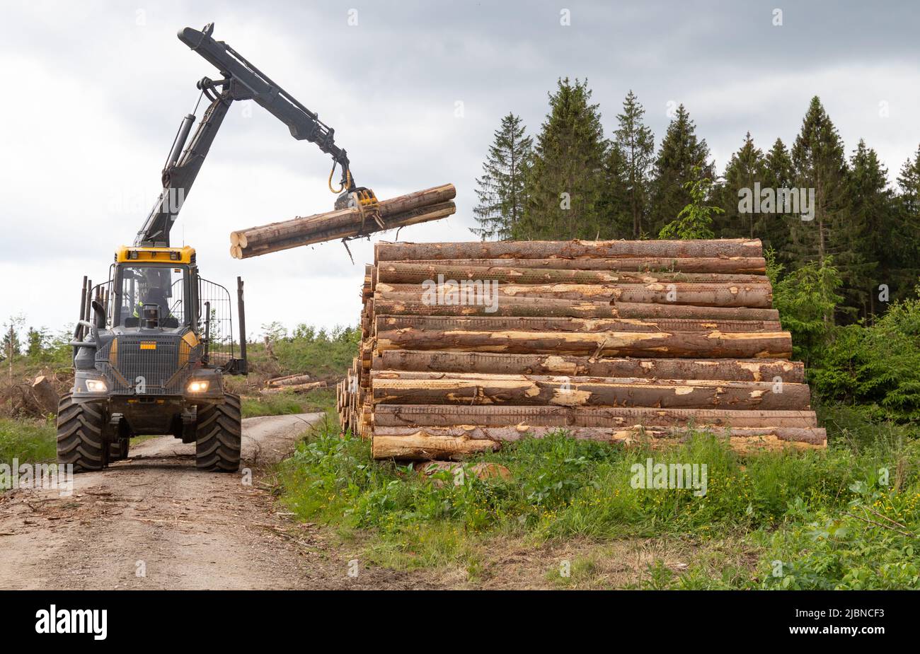 an excavator grab is putting tree tunks on a stack in a forest Stock ...