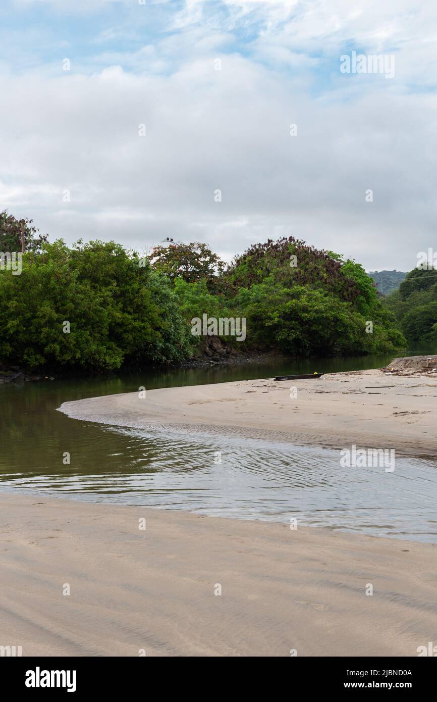 sunny day scene with landscape of forest, river and sand, nature and ...
