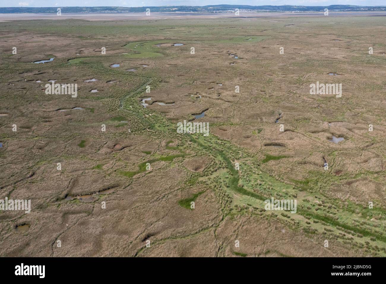 Aerial view of Llanrhidian saltmarsh, Burry Inlet, South Wales, UK ...