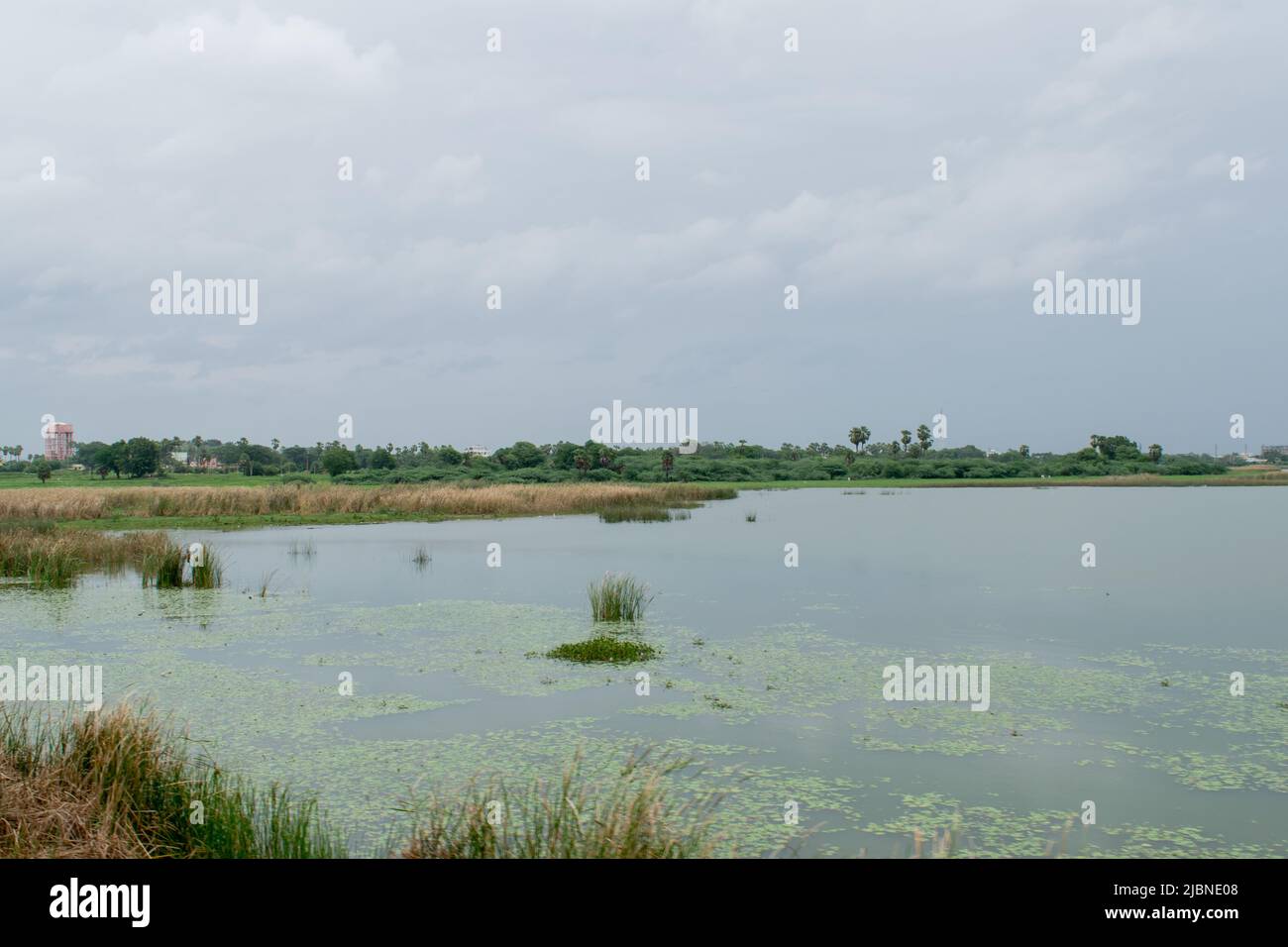 Indian scenery hi-res stock photography and images - Alamy