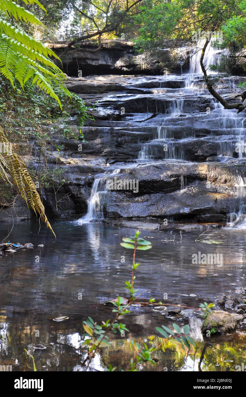 A small waterfall in the jungle of Kodaikanal town, Tamil Nadu, India ...