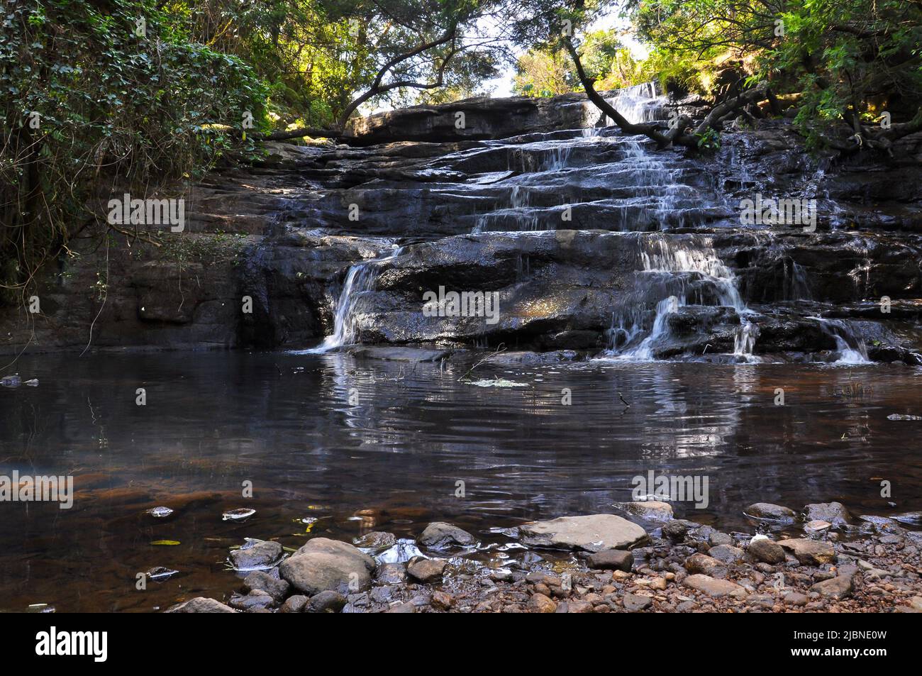 A small beautiful waterfall hidden in the jungle of Kodaikanal, Tamil ...