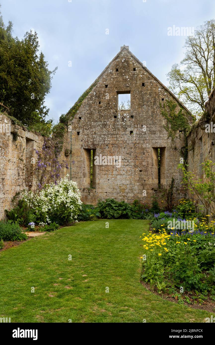 The ruins of the 15th-century tithe barn in the grounds of Castle ...