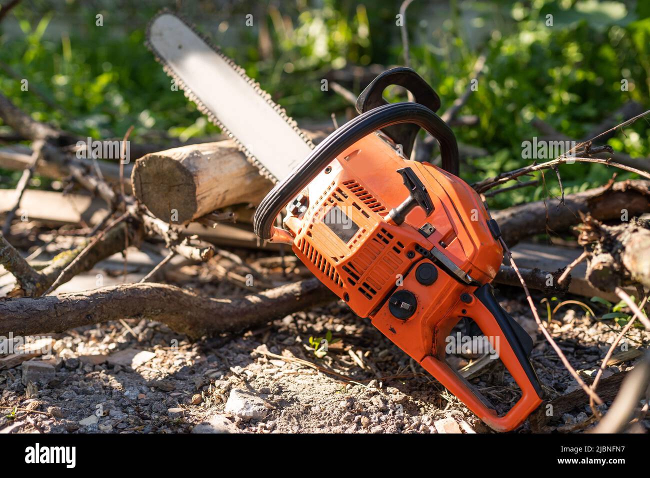Close-up professional chainsaw blade cutting log of wood Stock Photo ...