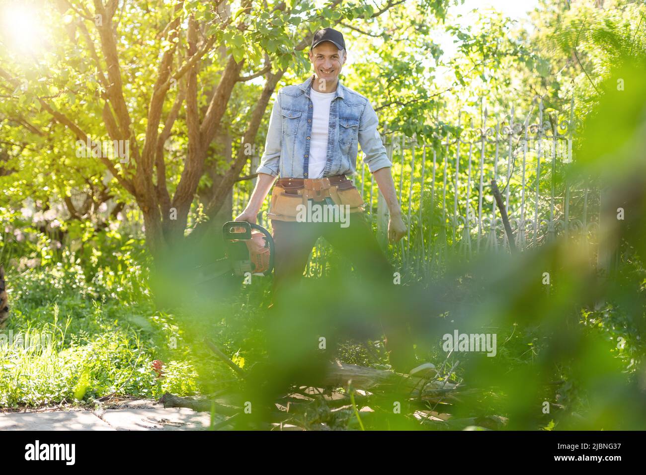 a man with a chainsaw. removes plantings in the garden from old trees ...