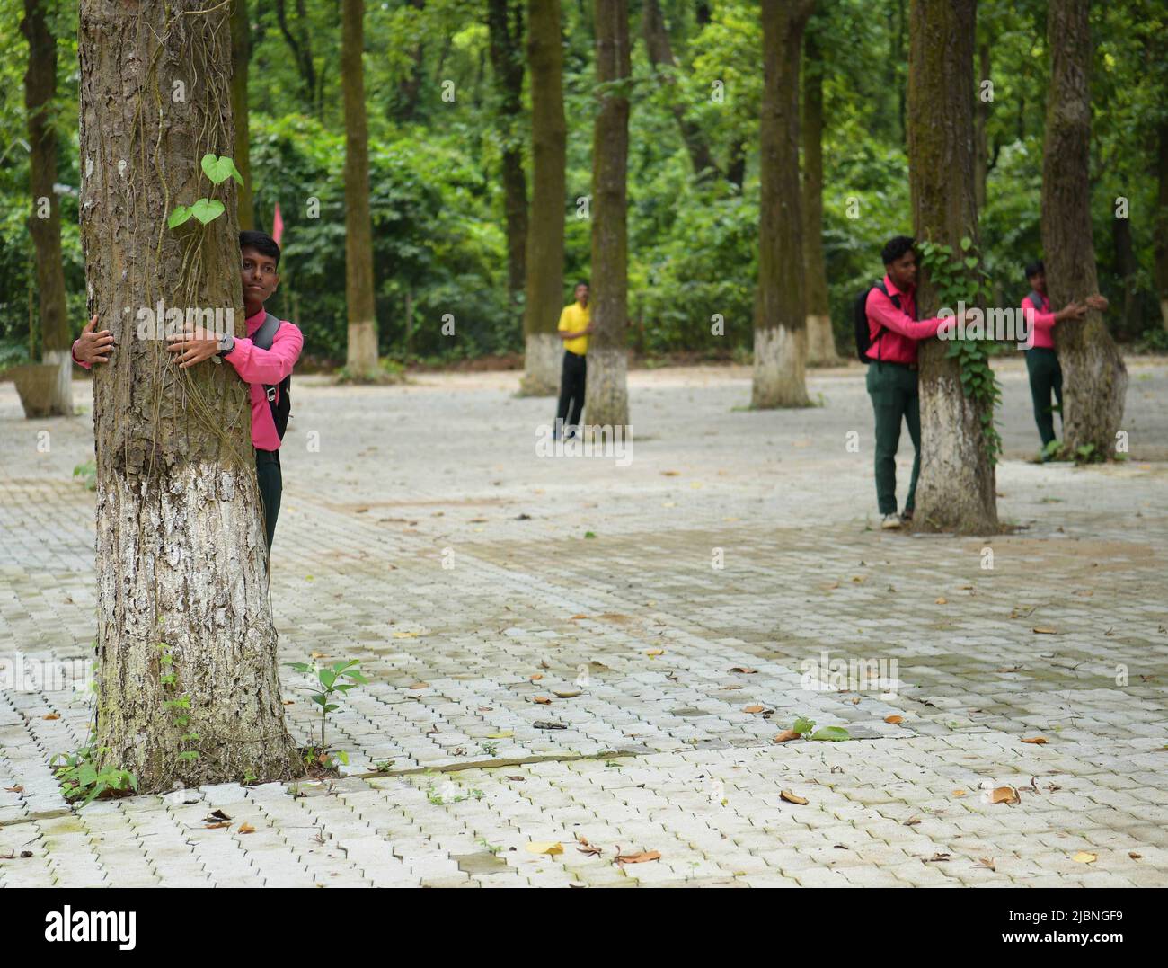 School children of Netaji Subhas Vidyaniketan pose and hug trees for ...