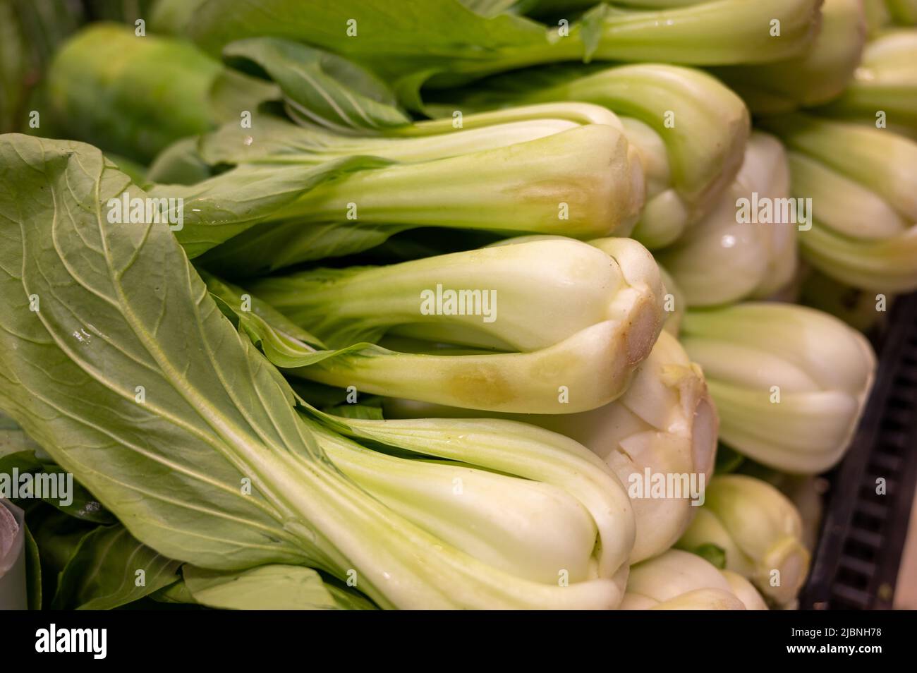 Bok choy chinese vegetables market hi-res stock photography and images ...