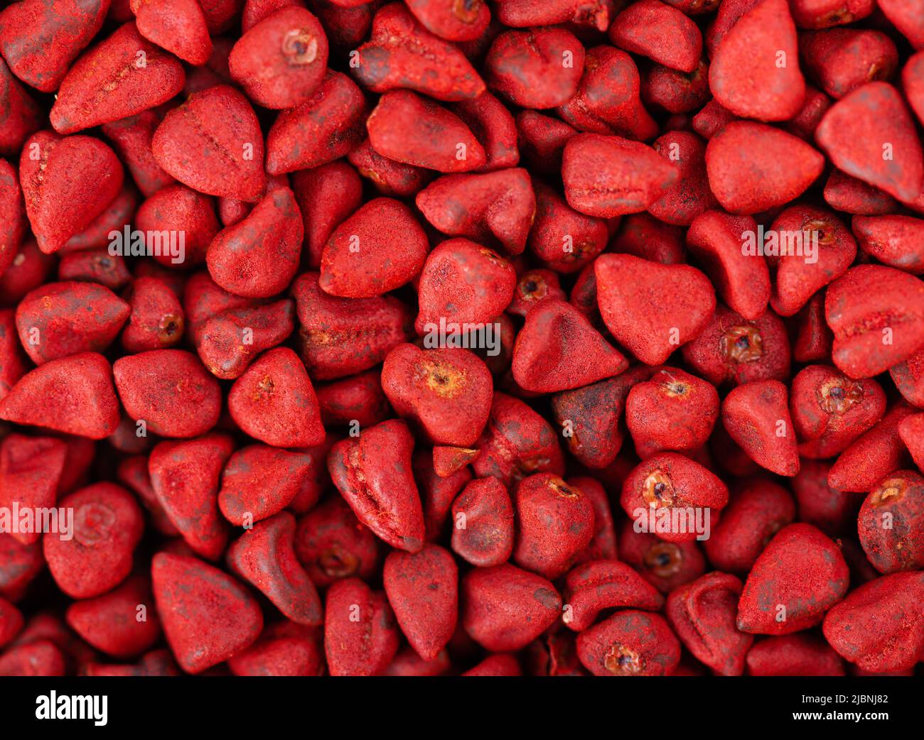 Annatto seeds background. Achiote seeds, bixa orellana. Natural dye for ...