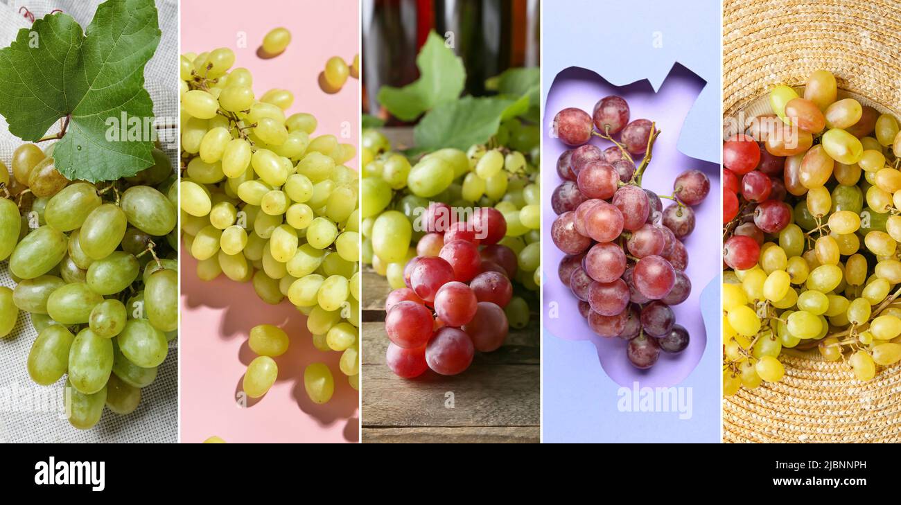 Collage with fresh ripe grapes Stock Photo - Alamy