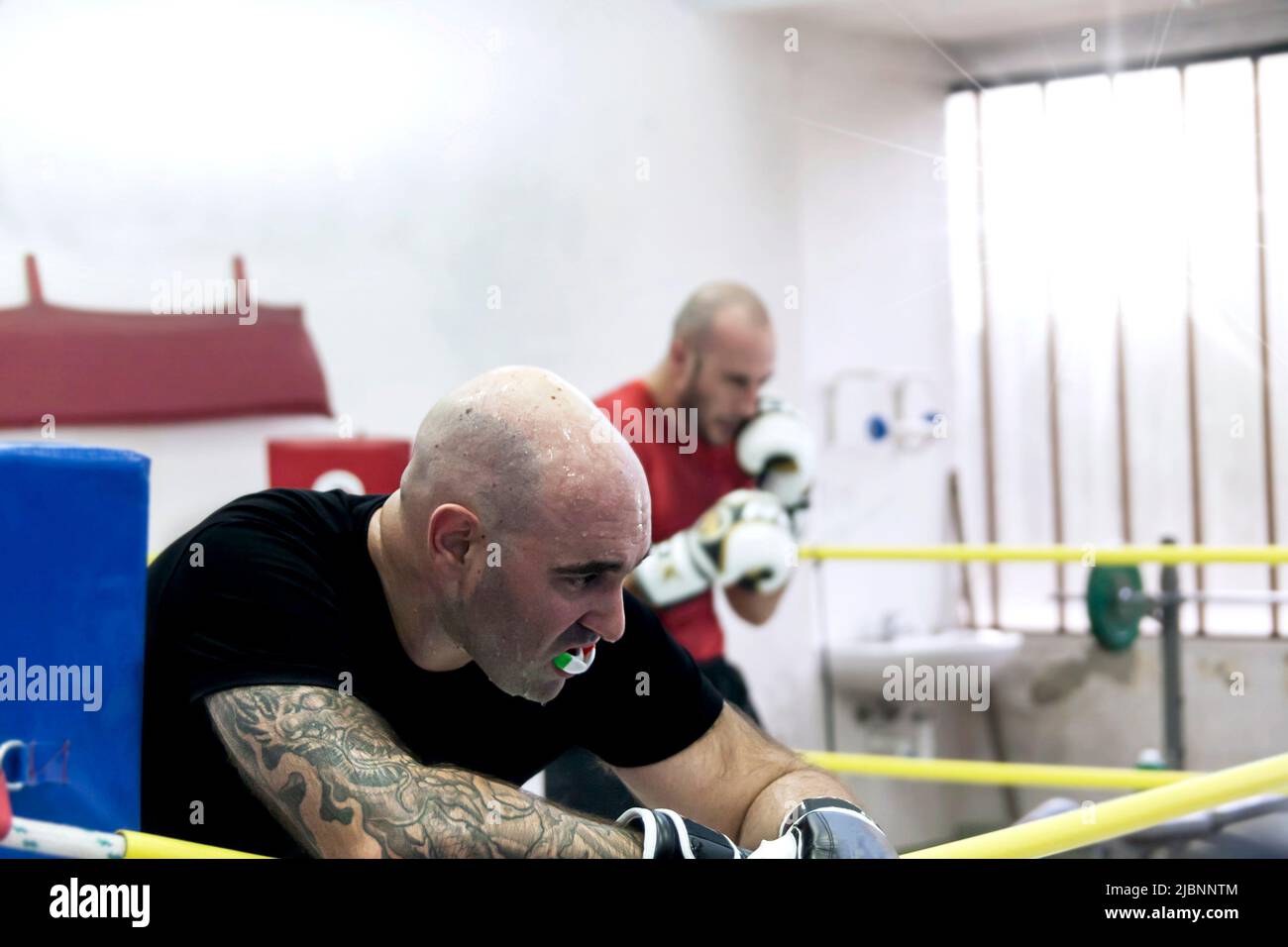 fight in kick boxing ring Stock Photo - Alamy
