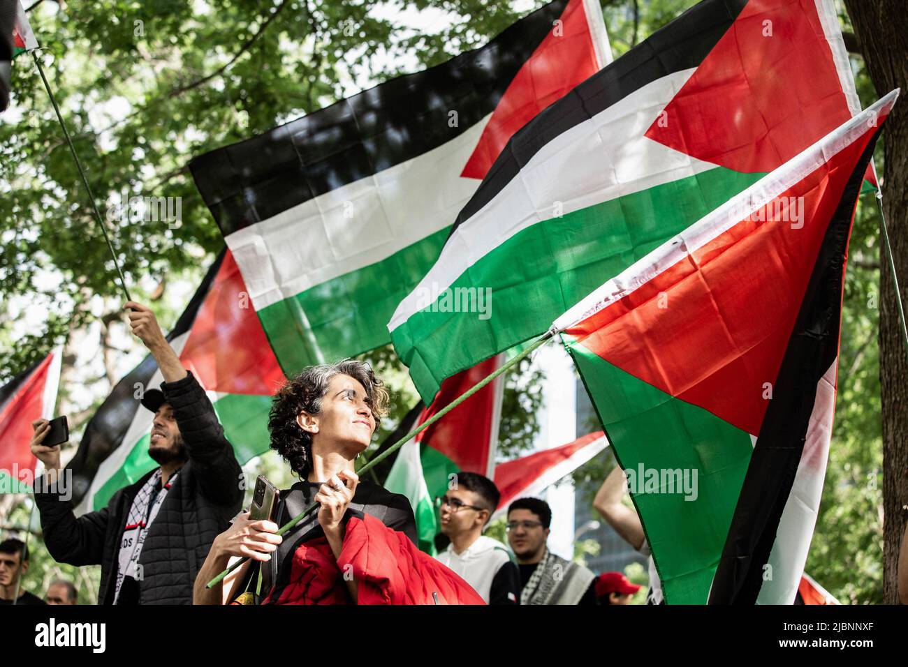Demonstrators wave Palestinian flags during the protest. Hundreds ...