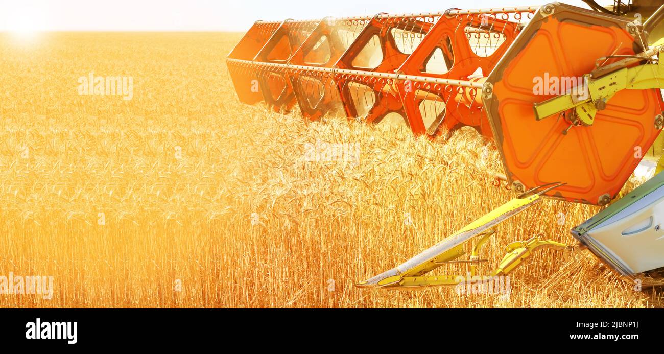 Combine harvester in wheat field. Banner for design Stock Photo - Alamy