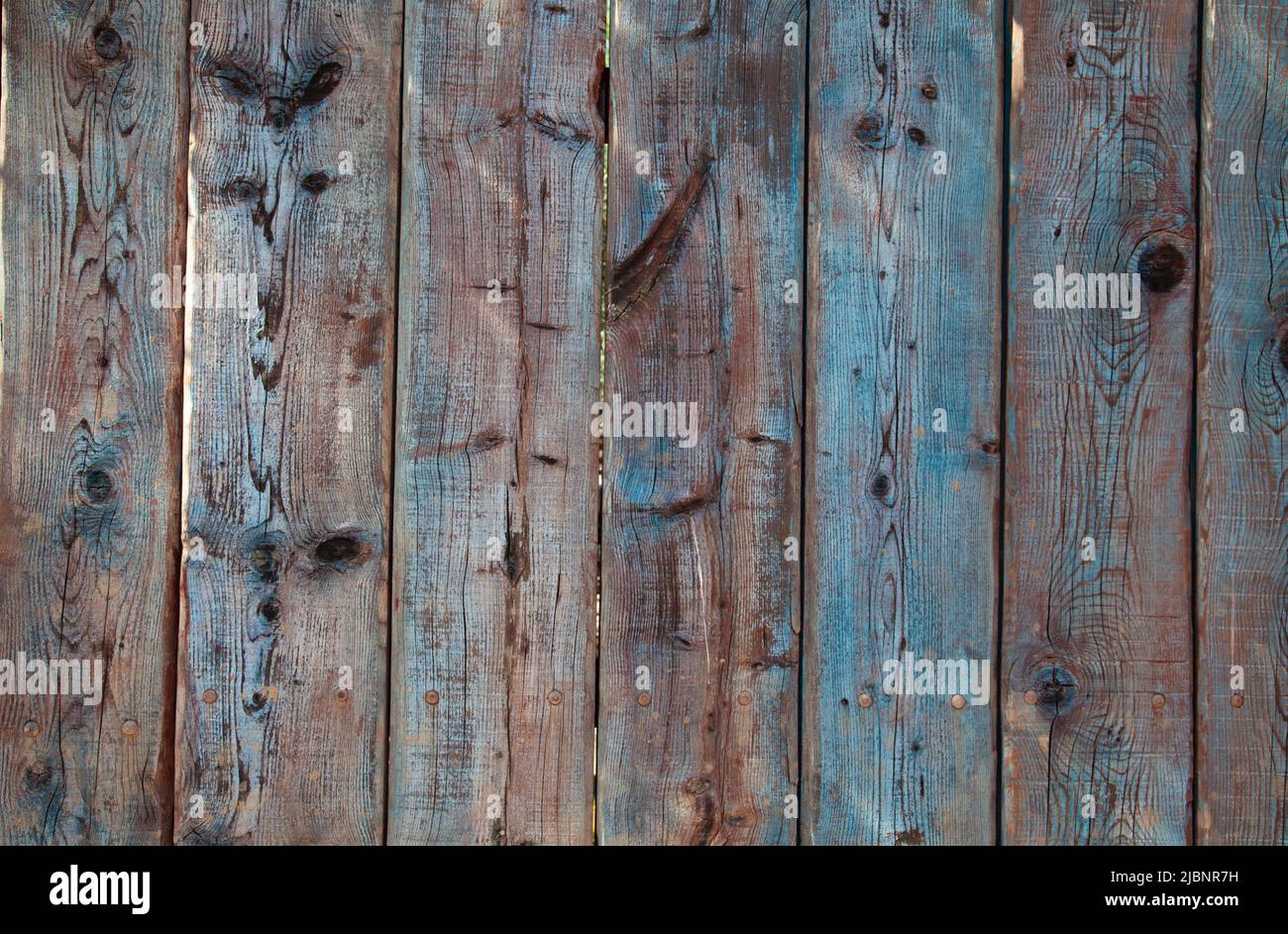Blue body paint hi-res stock photography and images - Alamy