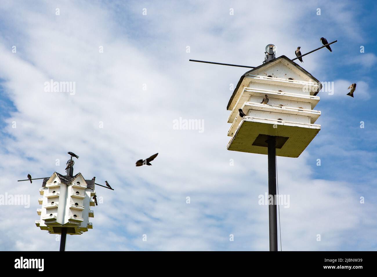 Small family unit hi-res stock photography and images - Alamy