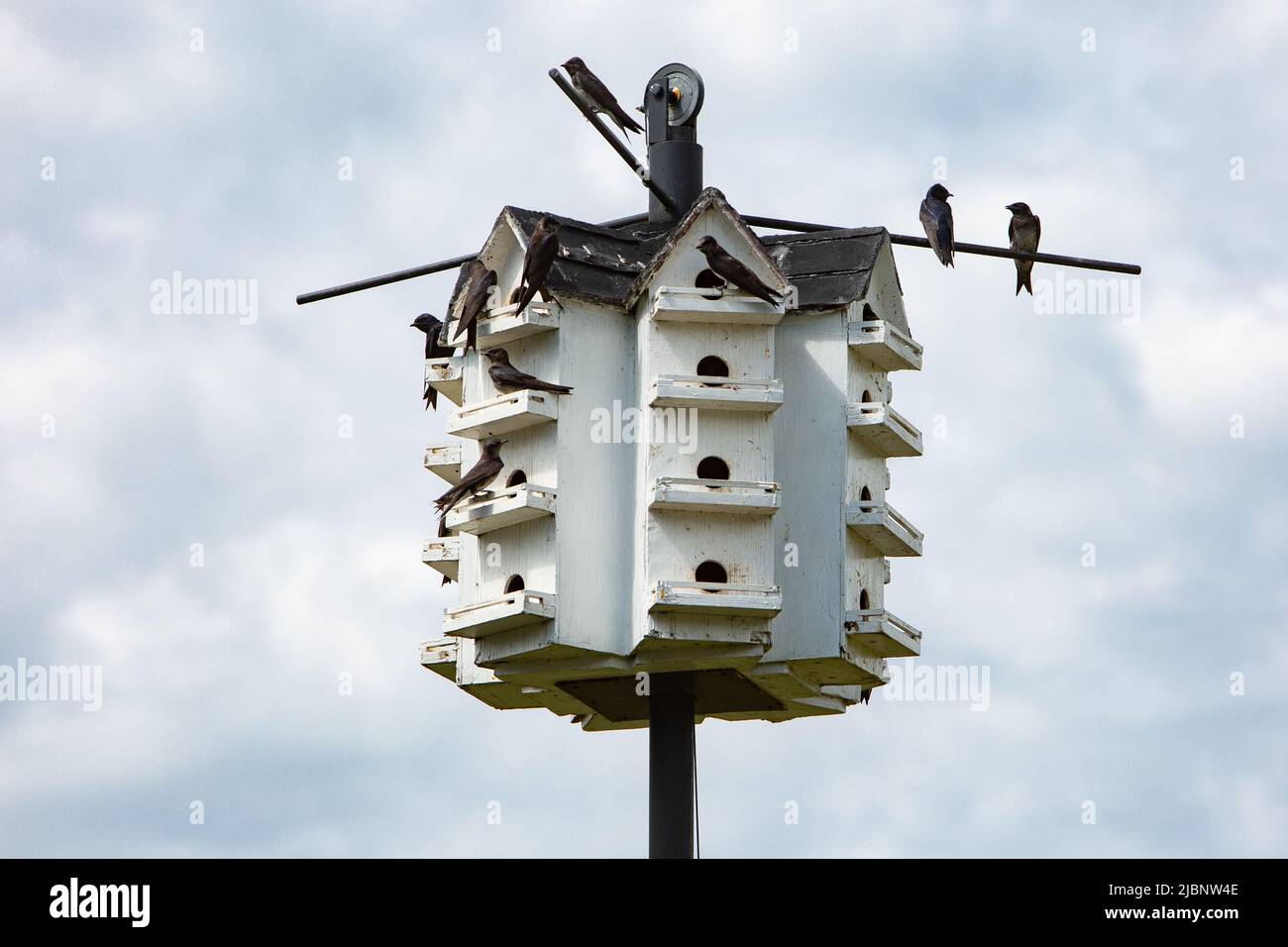 Multi unit hi-res stock photography and images - Alamy