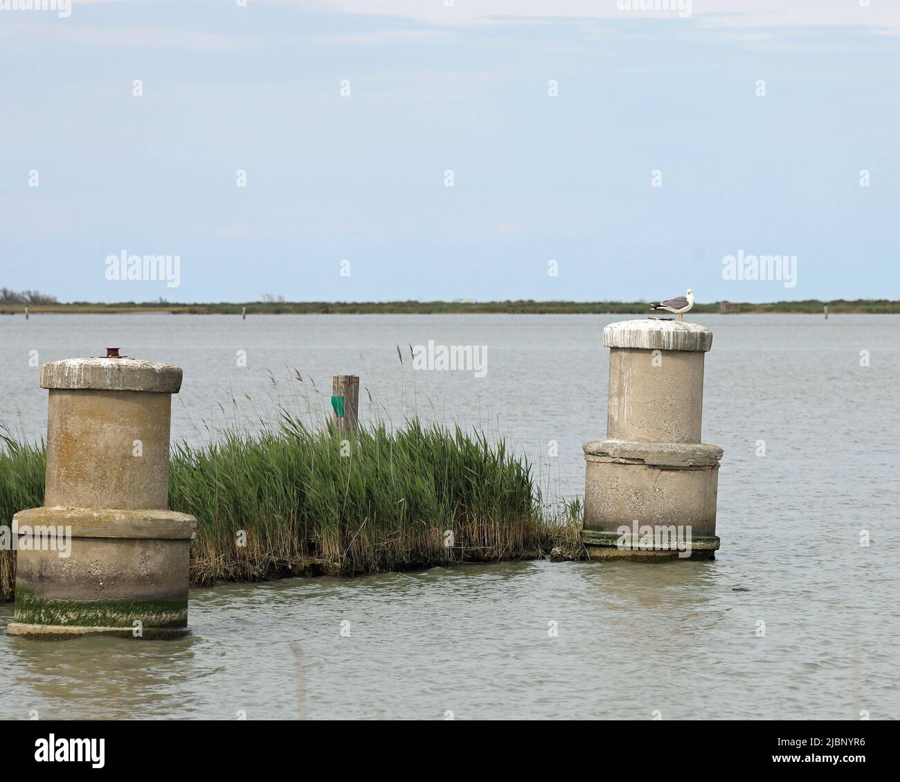 Abandoned very old concrete artifacts called COLLECTION WELLS for the ...