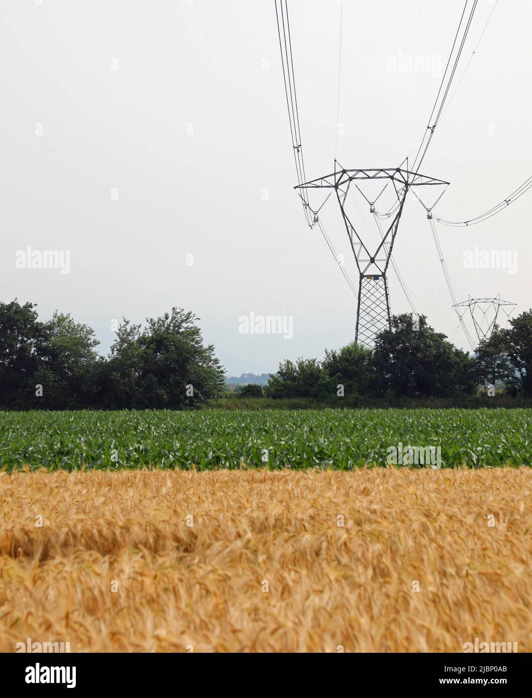 Very big Trellis tower of high voltage power line and cultivated field ...