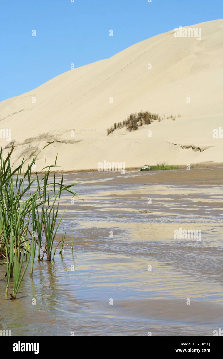 Nz sand hi-res stock photography and images - Alamy