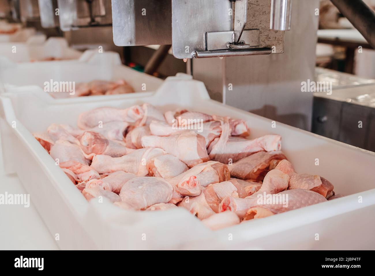 Conveyor Belt Food.The meat factory.Automated production line in modern ...