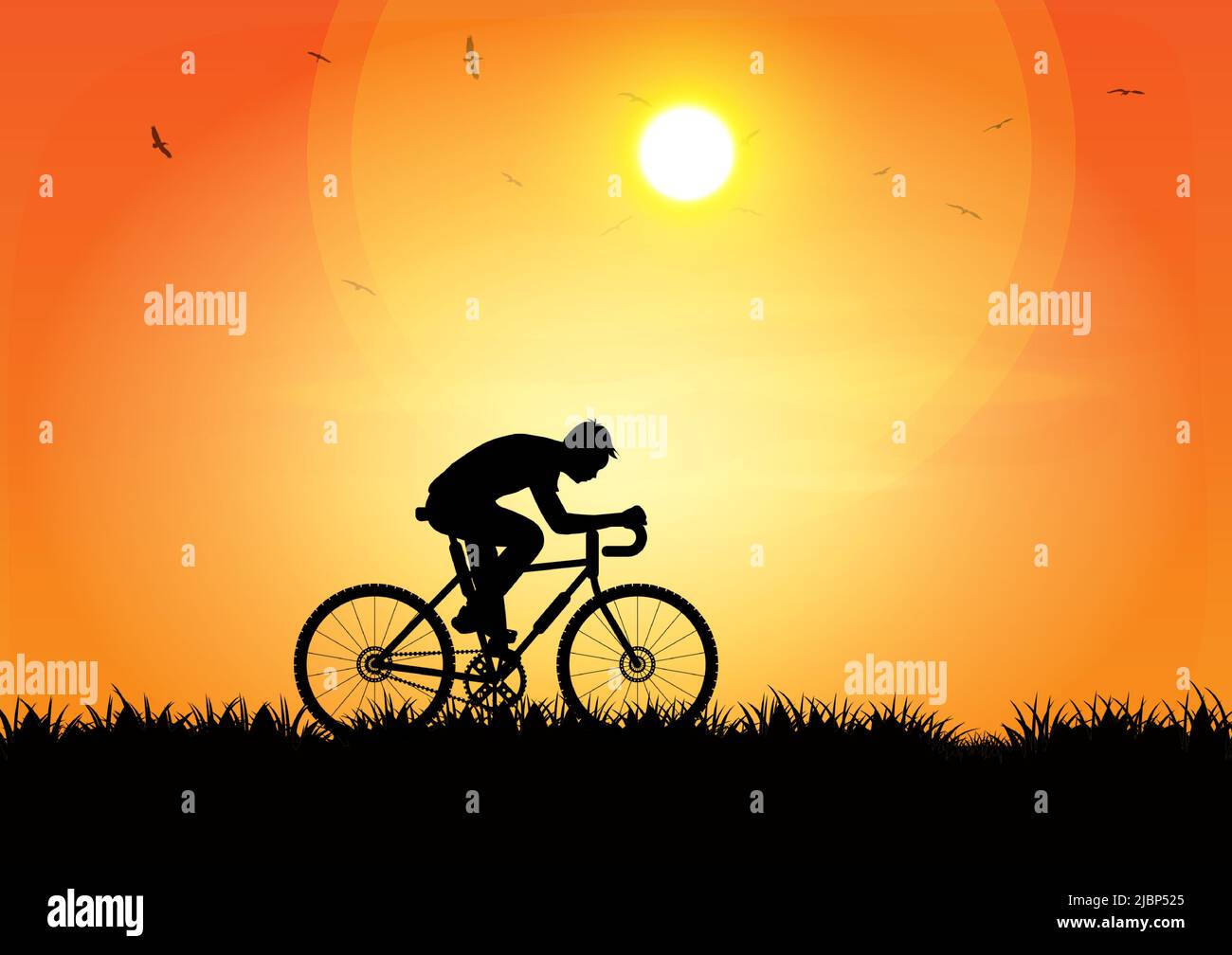 graphics image man riding a bicycle at evening with a sunset background ...
