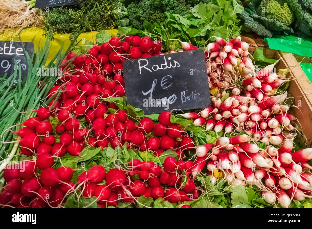 France, French Riviera, Cote d'Azur, Cannes, Forville Market, Radishes ...