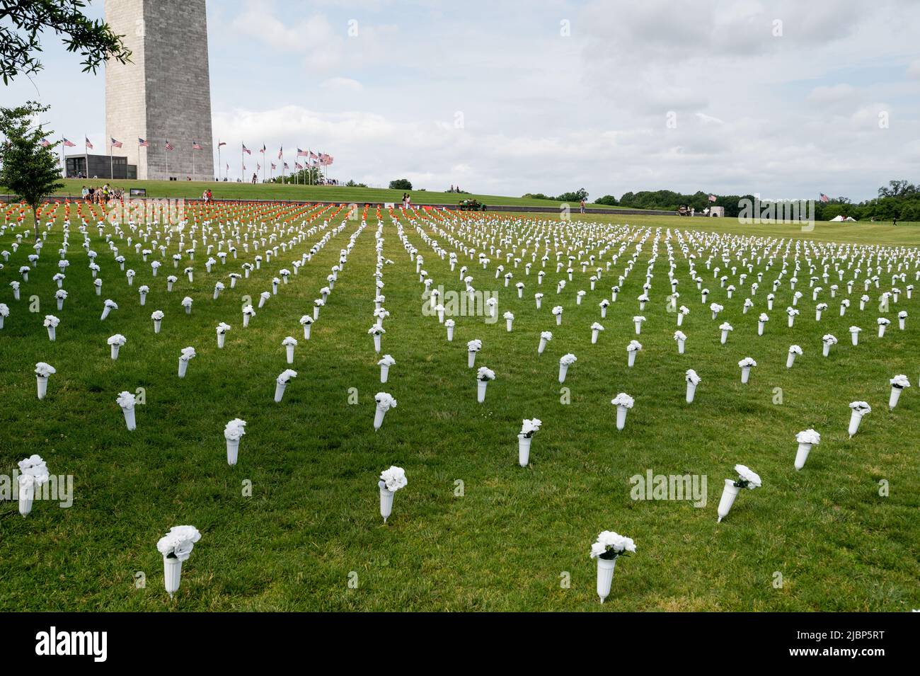 Flowers representing victims at the opening of the National Gun ...