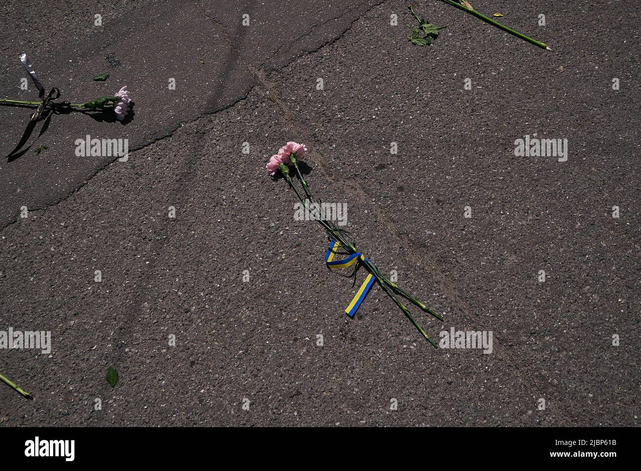 Ivankiv, Ukraine. 06th June, 2022. Flowers seen along the path as the ...