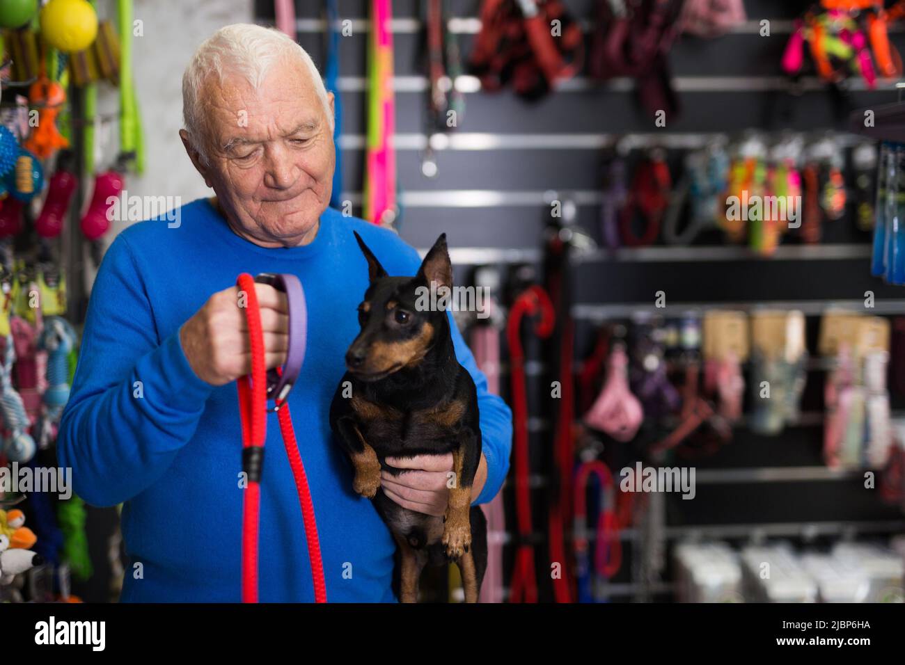 Old man and his dog in pet shop Stock Photo - Alamy