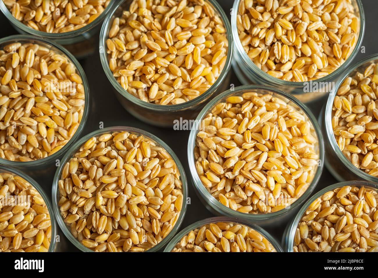wheat grain inside glass jar storage container overhead view Stock ...