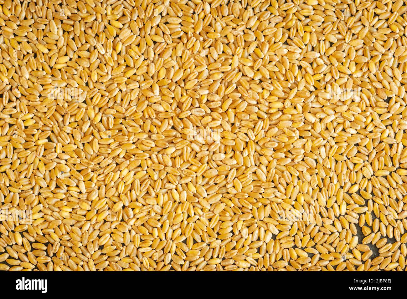 wheat grain texture background flat overhead view Stock Photo - Alamy