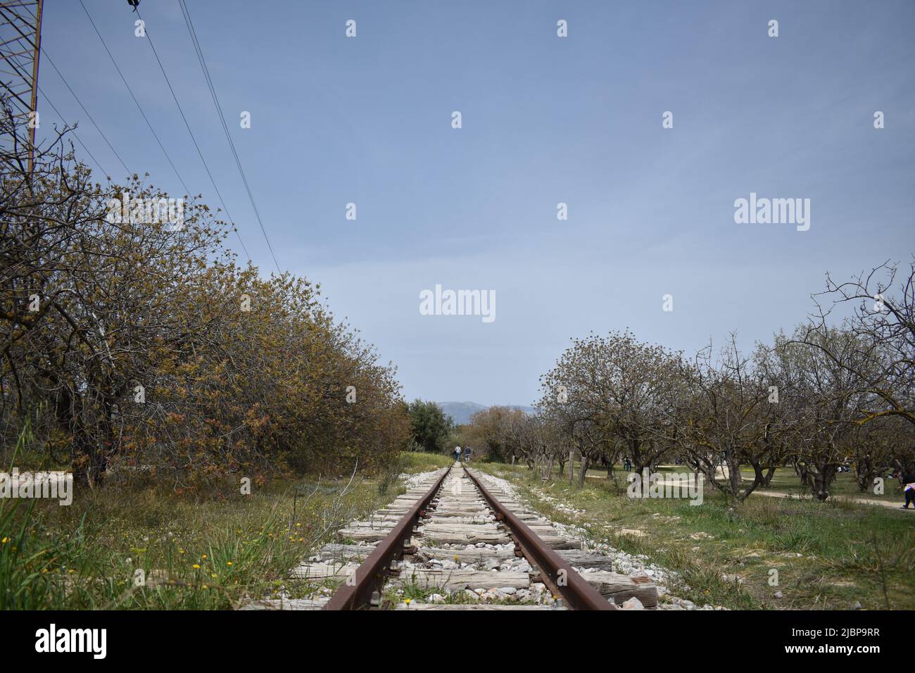 Abandoned rail tracks in the wild Stock Photo - Alamy