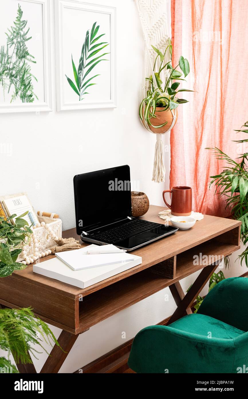 Home botanicals hi-res stock photography and images - Alamy