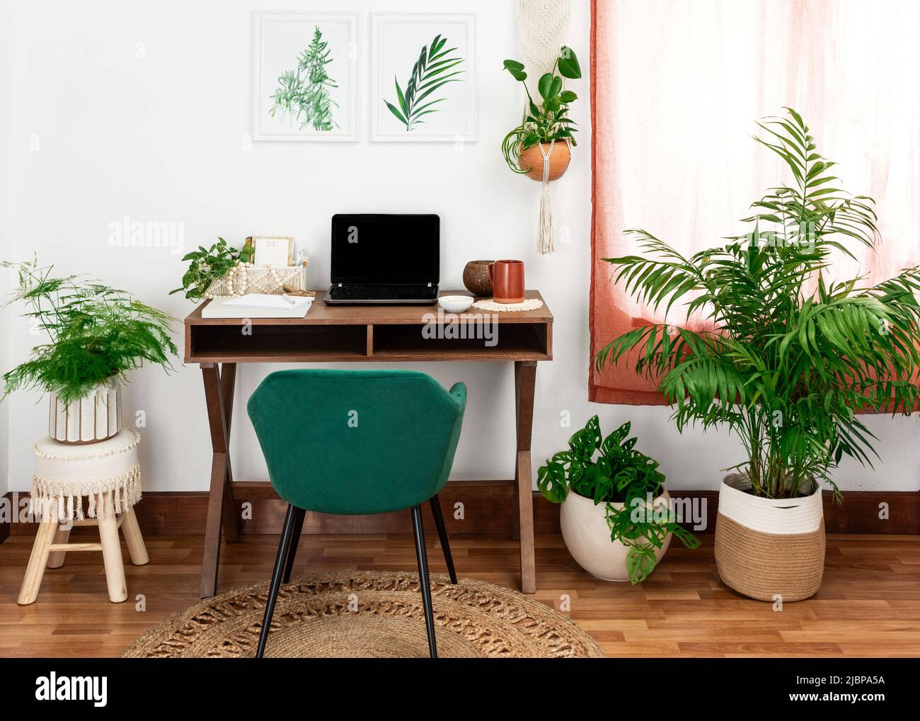 Botanical boho hi-res stock photography and images - Alamy