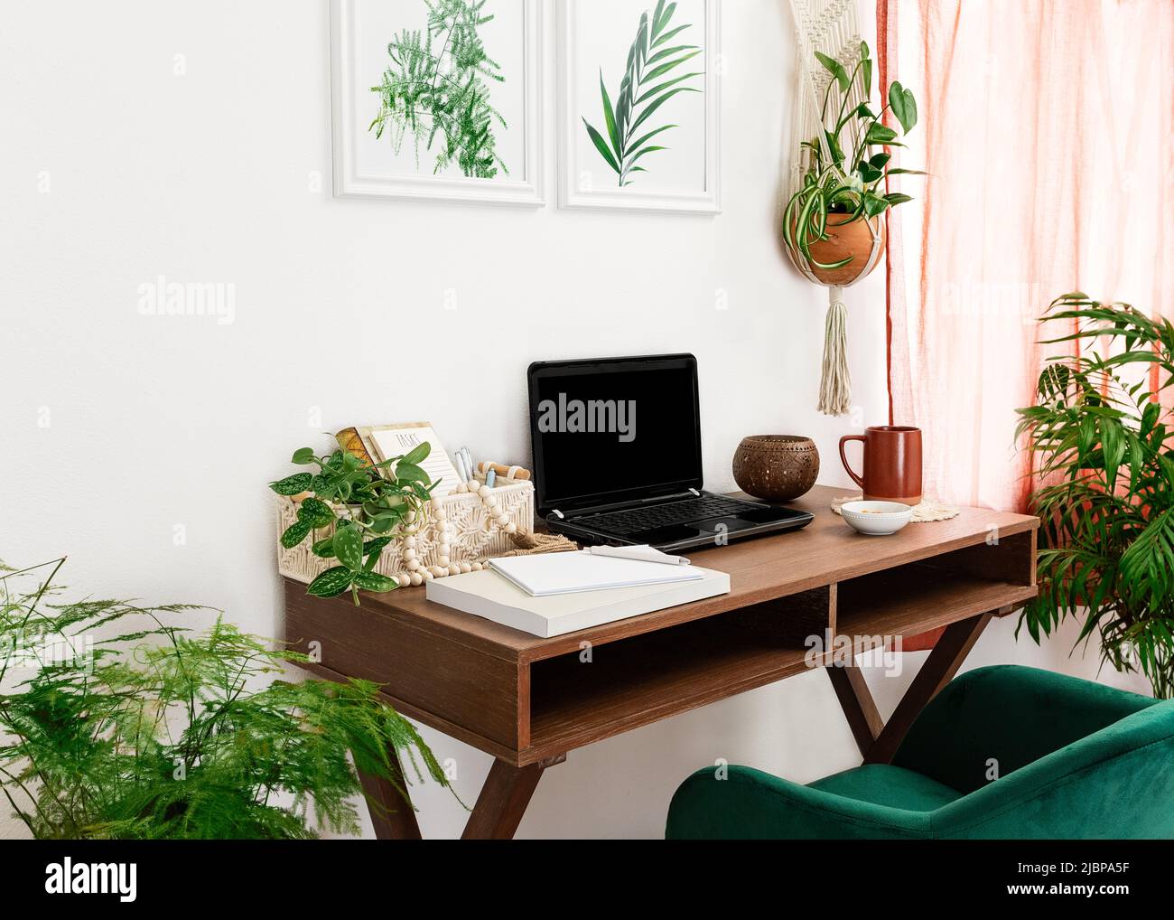 Home botanicals hi-res stock photography and images - Alamy