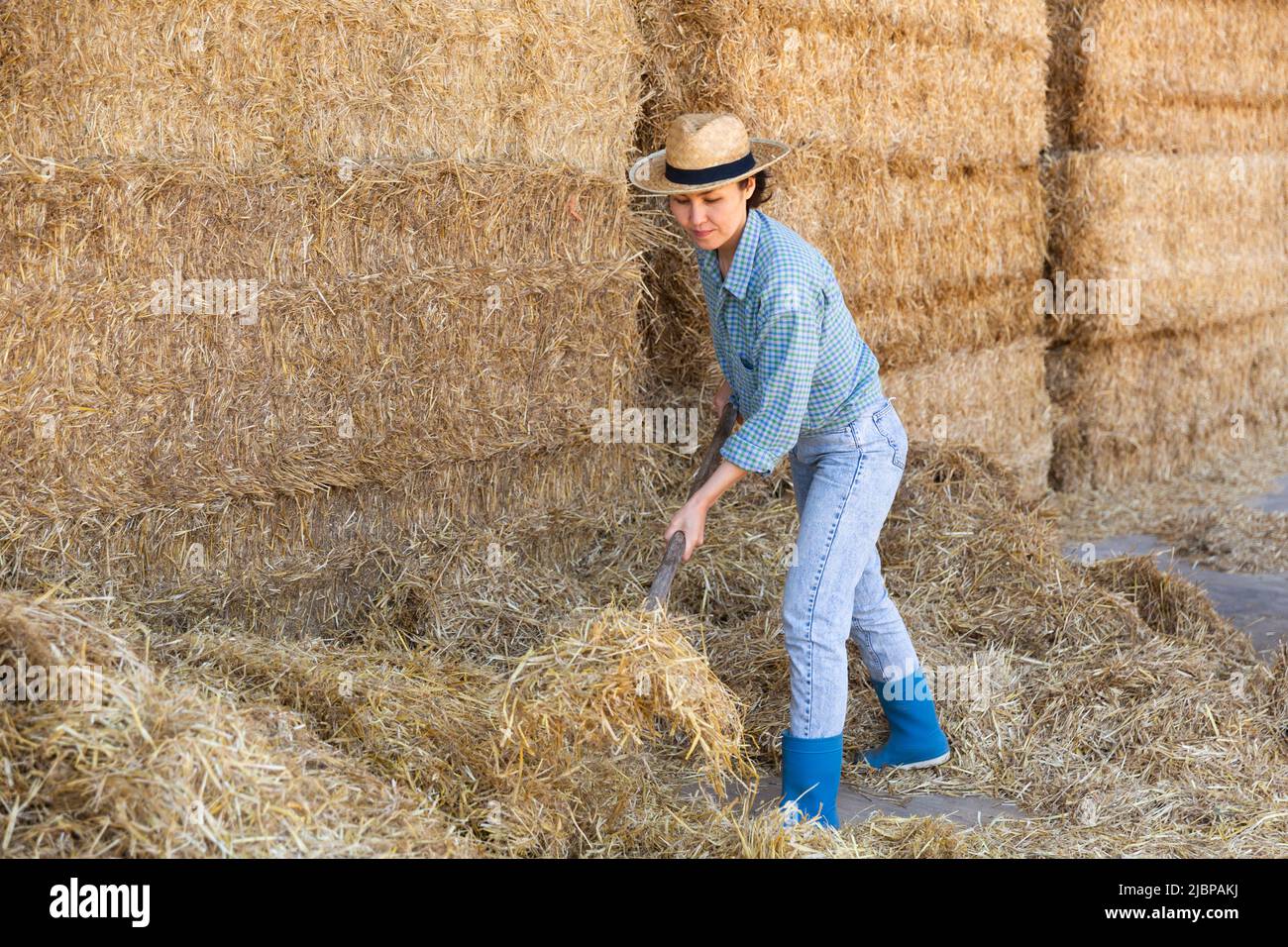 Asian woman farm employee working on hayloft Stock Photo - Alamy