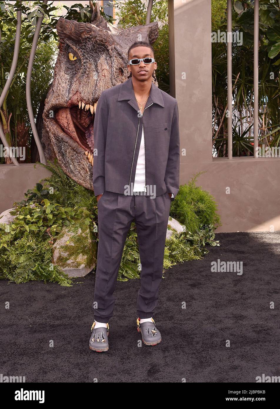 HOLLYWOOD, CA - JUNE 06: Terance Mann attends the Los Angeles premiere ...